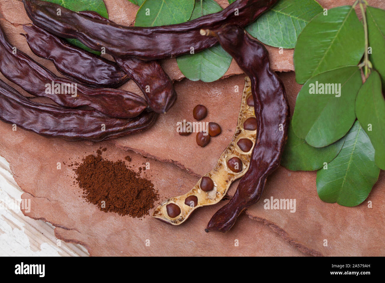 Carob. Organic carob pods with seeds and leaves on tree bark table ...