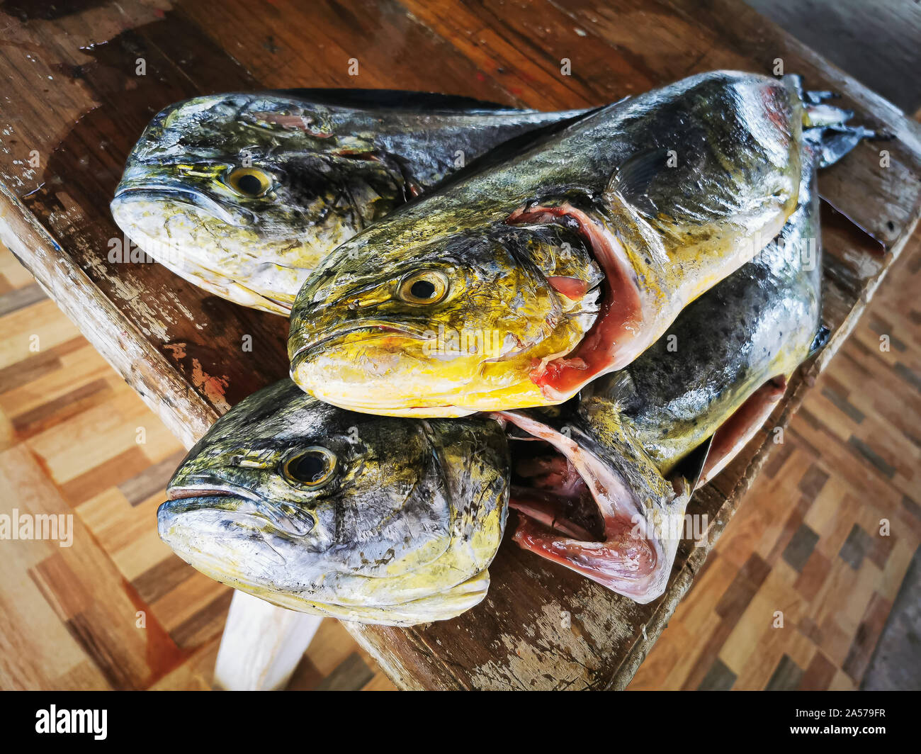 Raw fish market. Seafood healthy fish market Stock Photo - Alamy