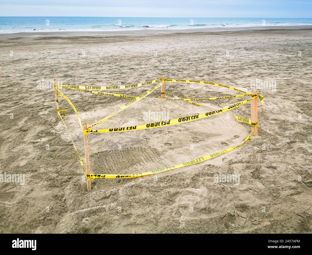 Protected Sea Turtle Nest. Barricaded sea turtle nest with yellow tape ...