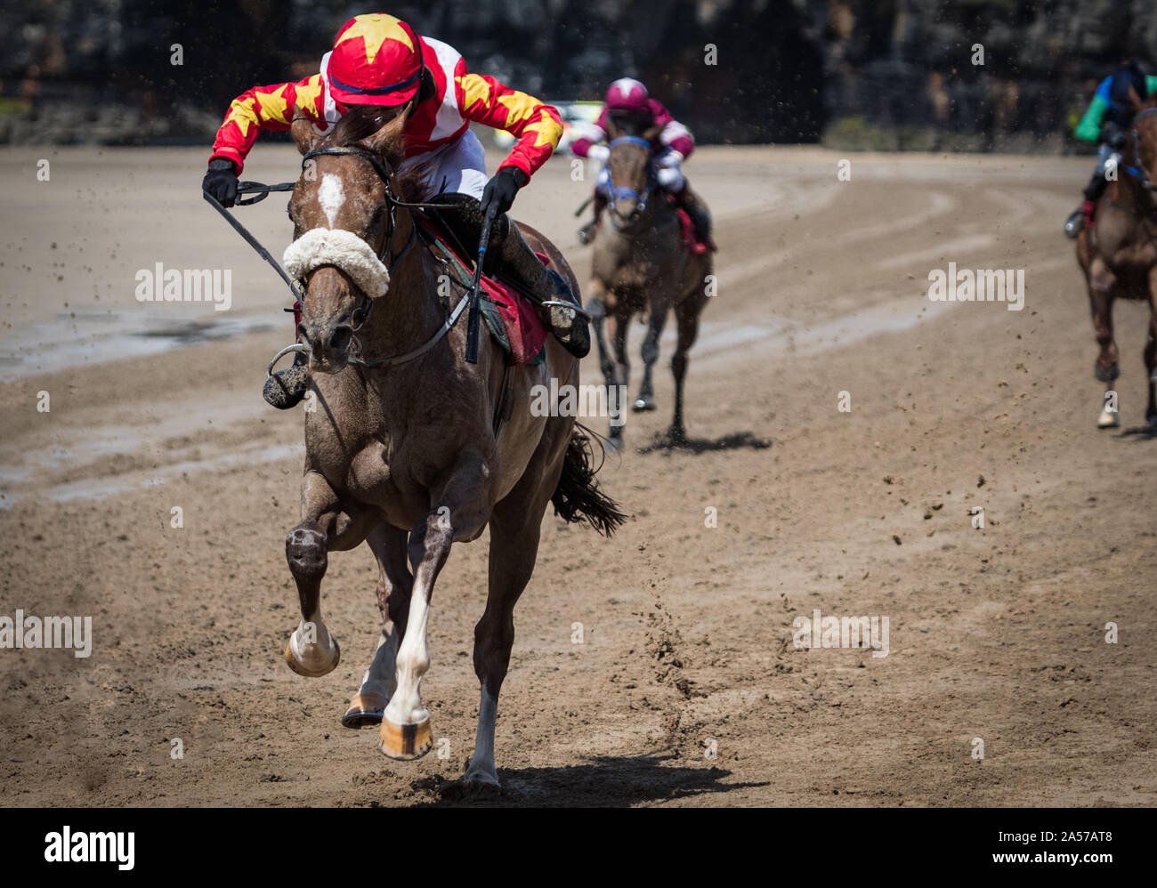 galloping race horses and jockey in action on the beach Stock Photo - Alamy