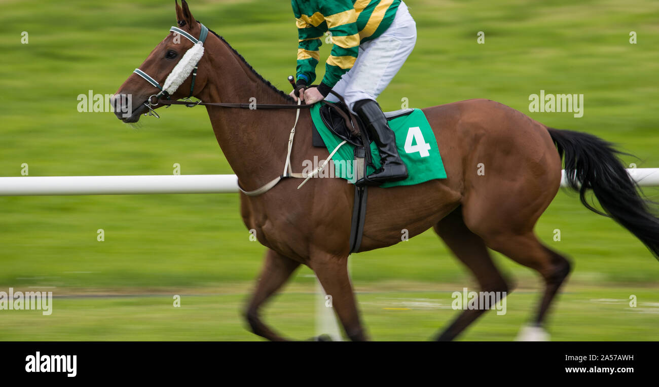 speeding fast motion blur effect on galloping Jockey and race horse ...