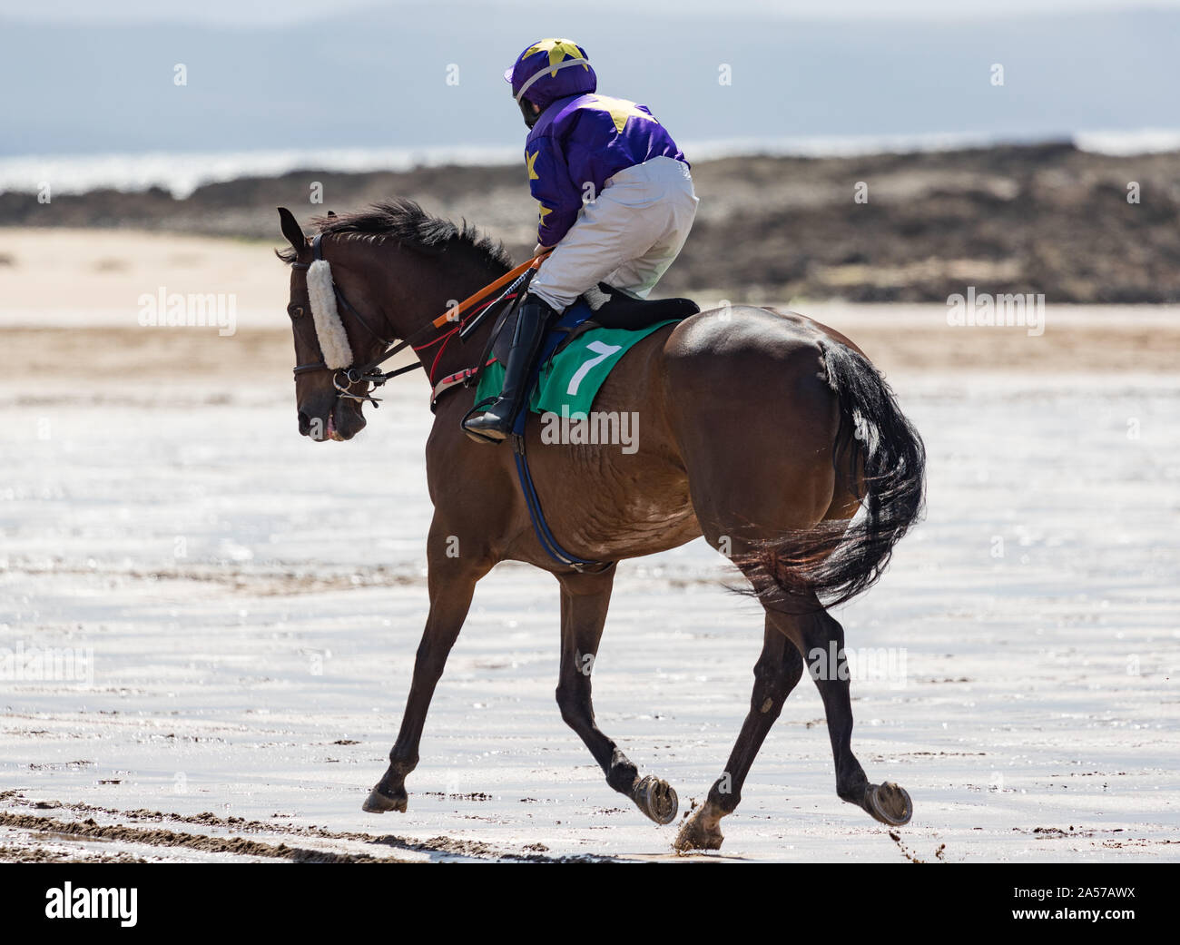 Jockey and race horse running on the beach Stock Photo - Alamy