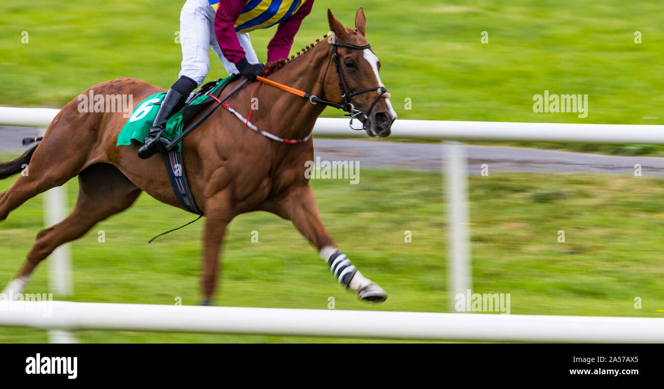 Jockey and race horse in competing in a race, speeding fast motion blur ...