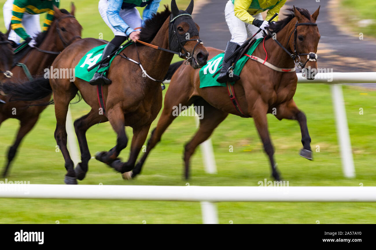 Galloping race horses, motion blur zoom effect Stock Photo - Alamy