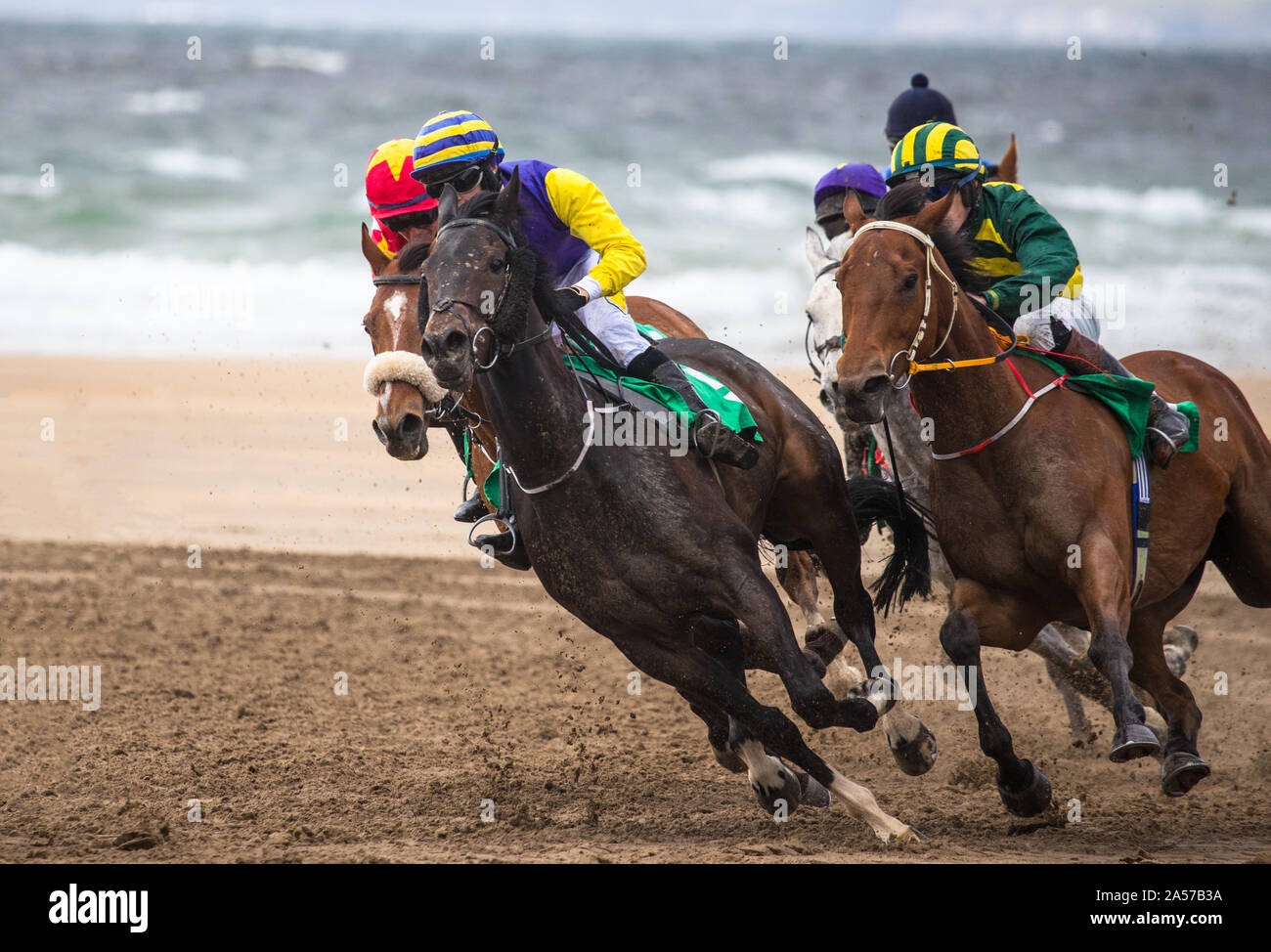 Horses galloping on beach hi-res stock photography and images - Alamy