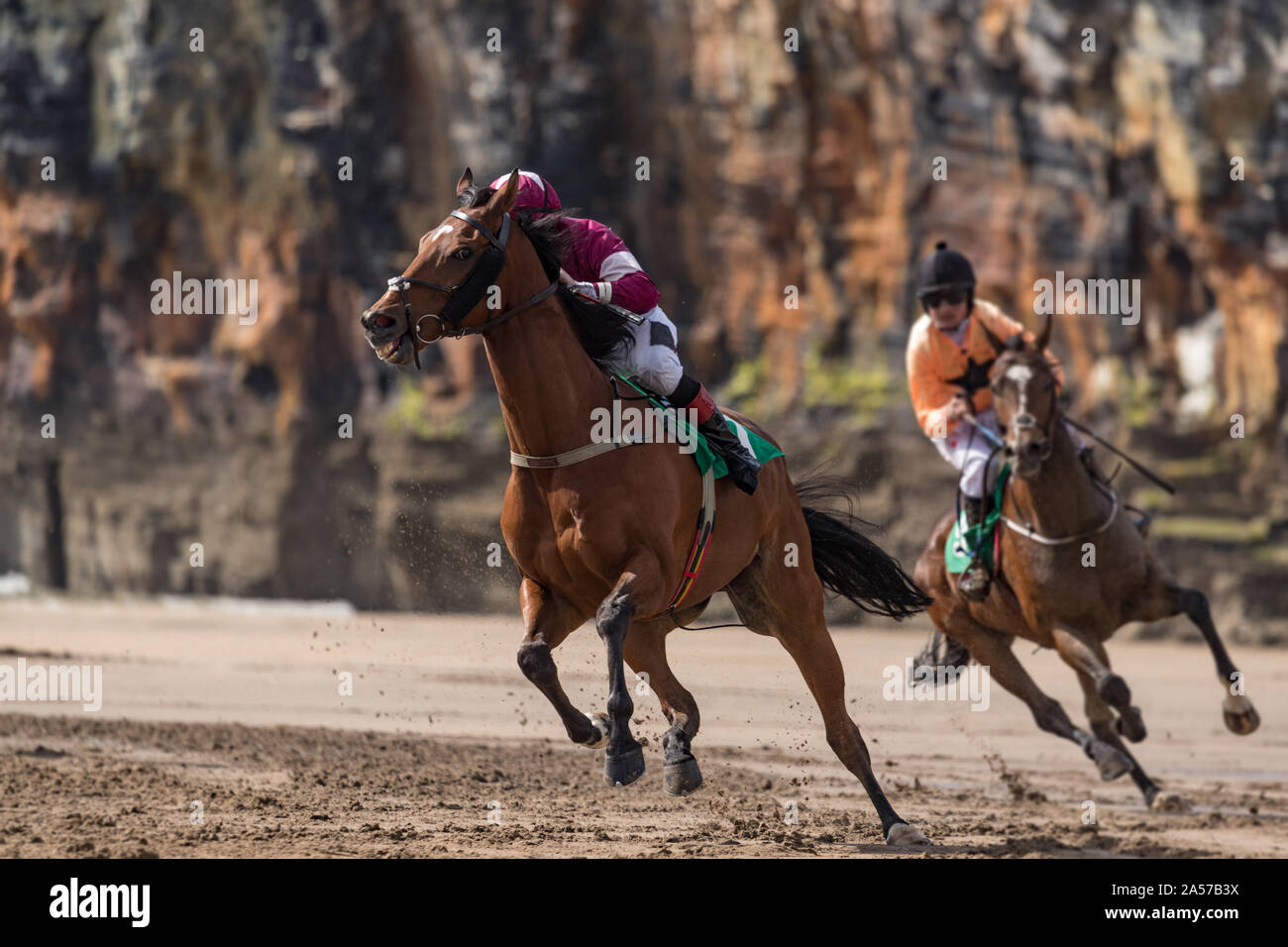 Lead race horse and jockey taking a turn on the track, horse racing ...