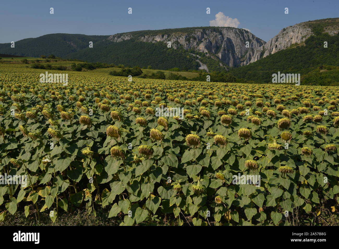 Scenes from Romania in Europe Stock Photo - Alamy