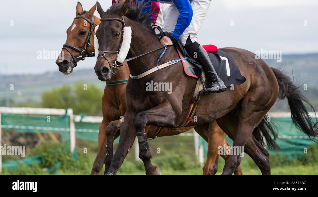 Saddle position hi-res stock photography and images - Alamy