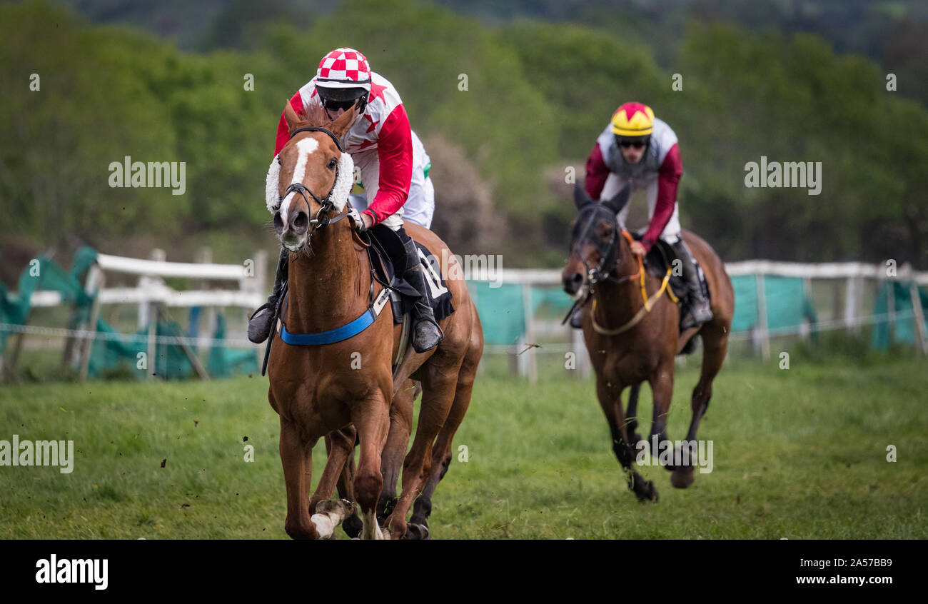 Lead race horse and jockey racing down the track Stock Photo - Alamy