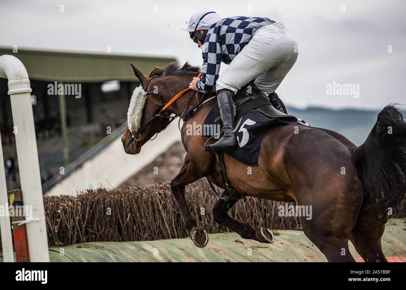 Close up of a hurdle hi-res stock photography and images - Alamy