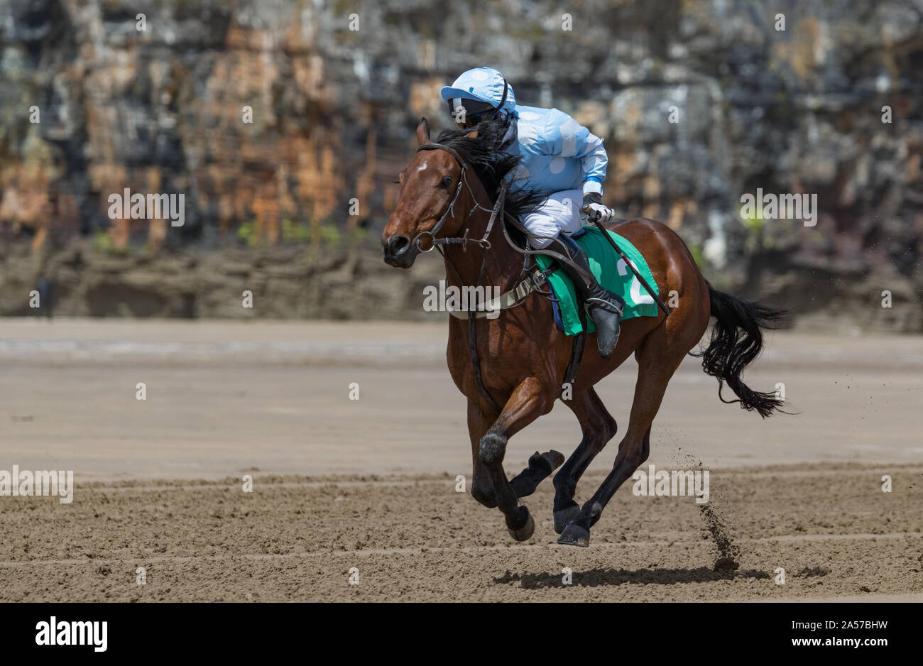 Close up on single racehorse and jockey galloping on the beach, Horse ...