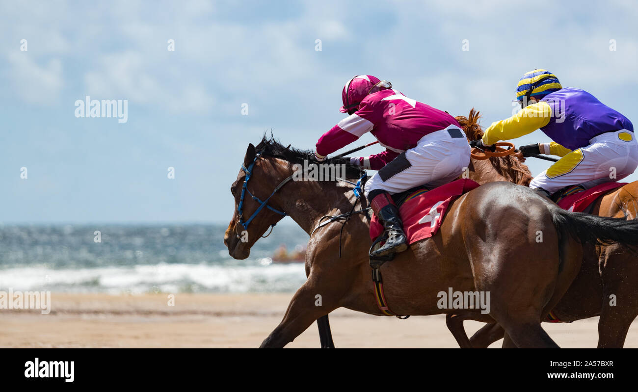 Galloping position hi-res stock photography and images - Alamy
