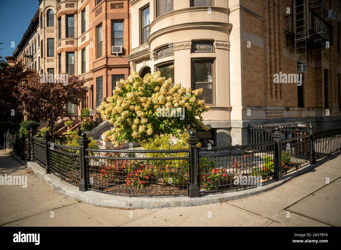 Brooklyn park slope houses hi-res stock photography and images - Alamy