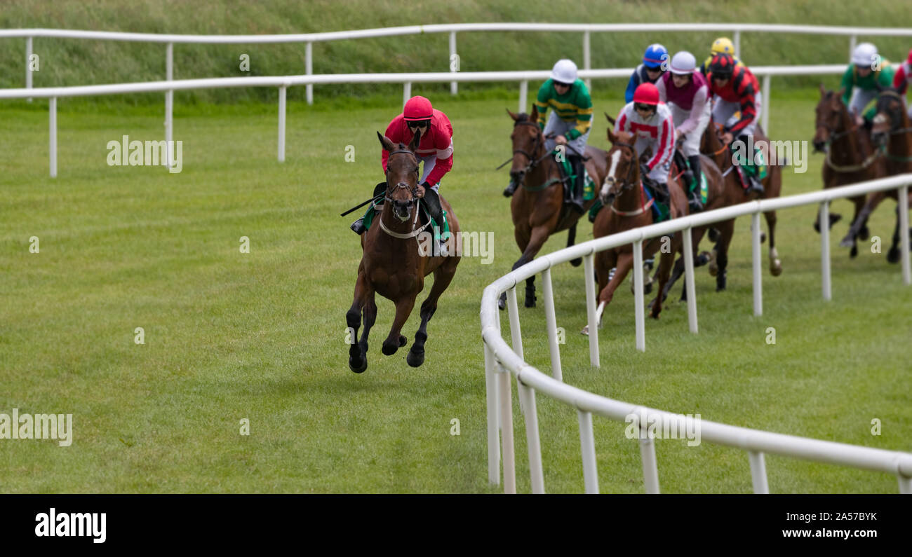 Race horse and jockey taking the lead in a race Stock Photo - Alamy