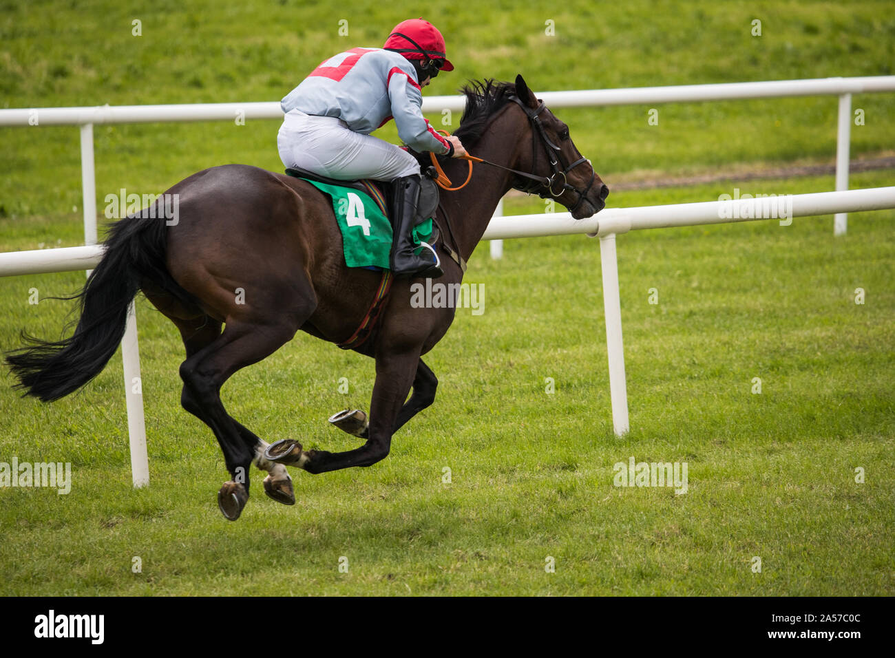 Single race horse and jockey galloping on the track Stock Photo - Alamy