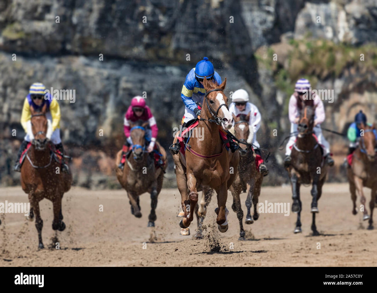 Head on view of galloping race horses and jockeys racing down the track ...