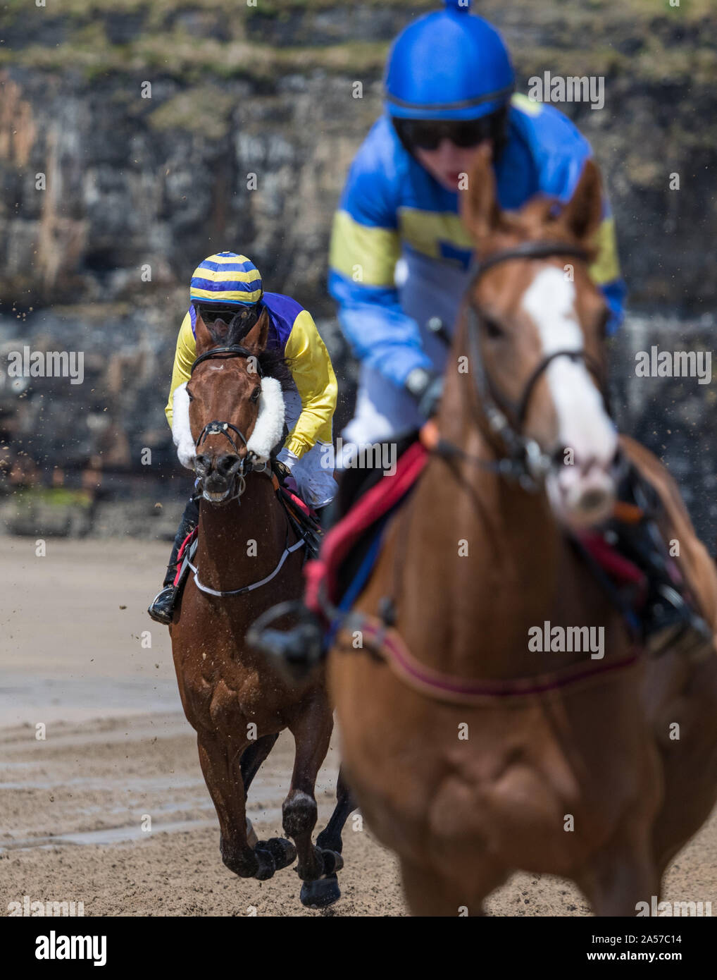 Close up on second position race horse and jockey, Horse racing on the ...