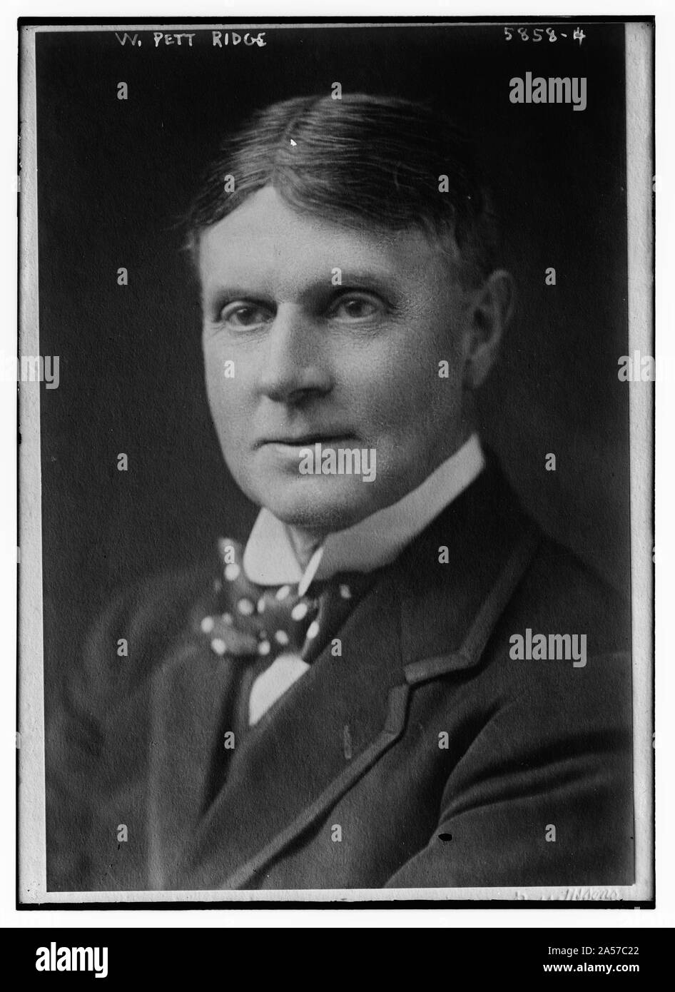 Pett Cut Out Stock Images & Pictures - Alamy