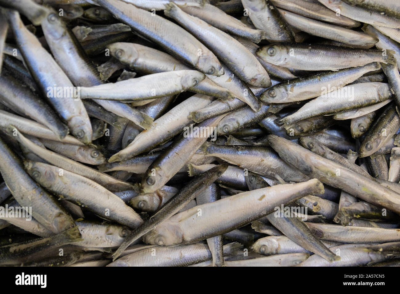 Evevated view hi-res stock photography and images - Alamy
