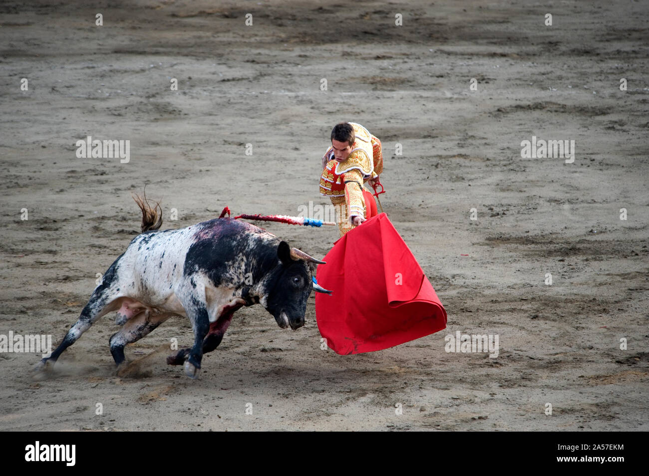 Bullfight matador hi-res stock photography and images - Alamy