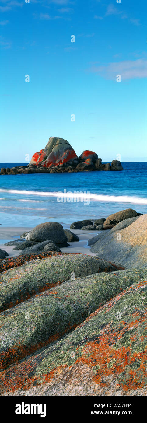 Mt william national park hi-res stock photography and images - Alamy