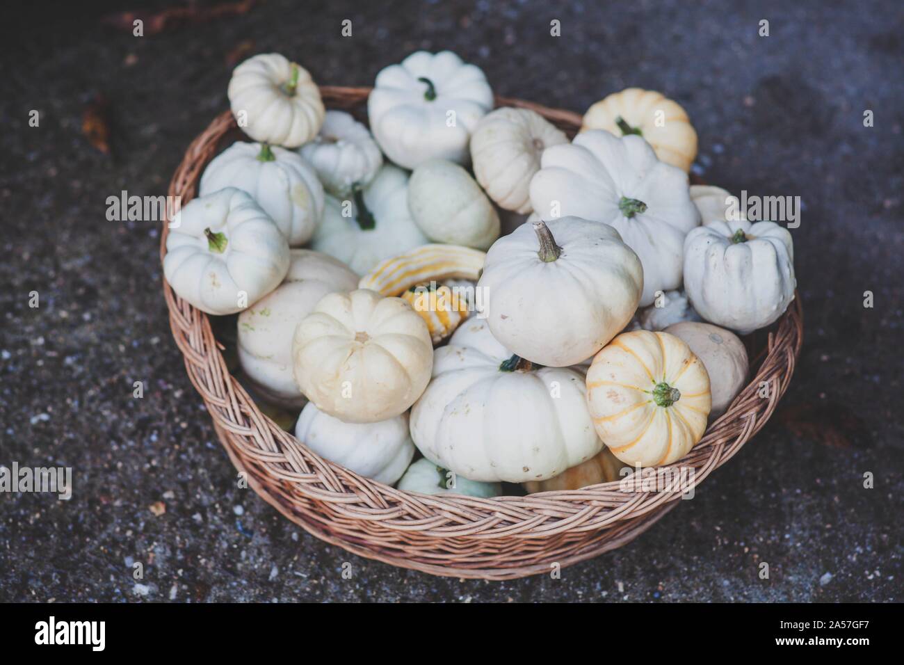 Baby boo pumpkins hi-res stock photography and images - Alamy