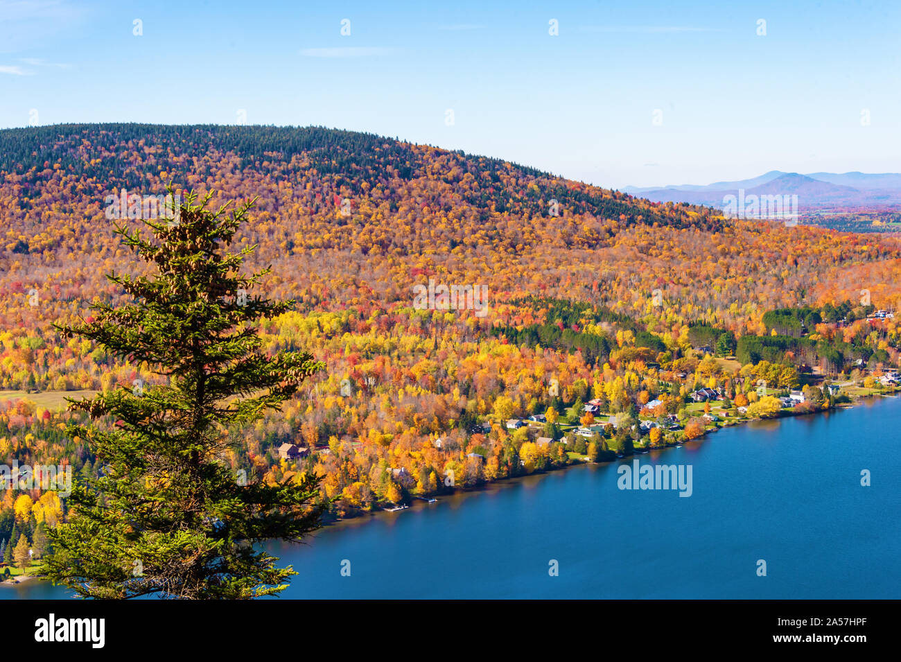 Lyster hi-res stock photography and images - Alamy