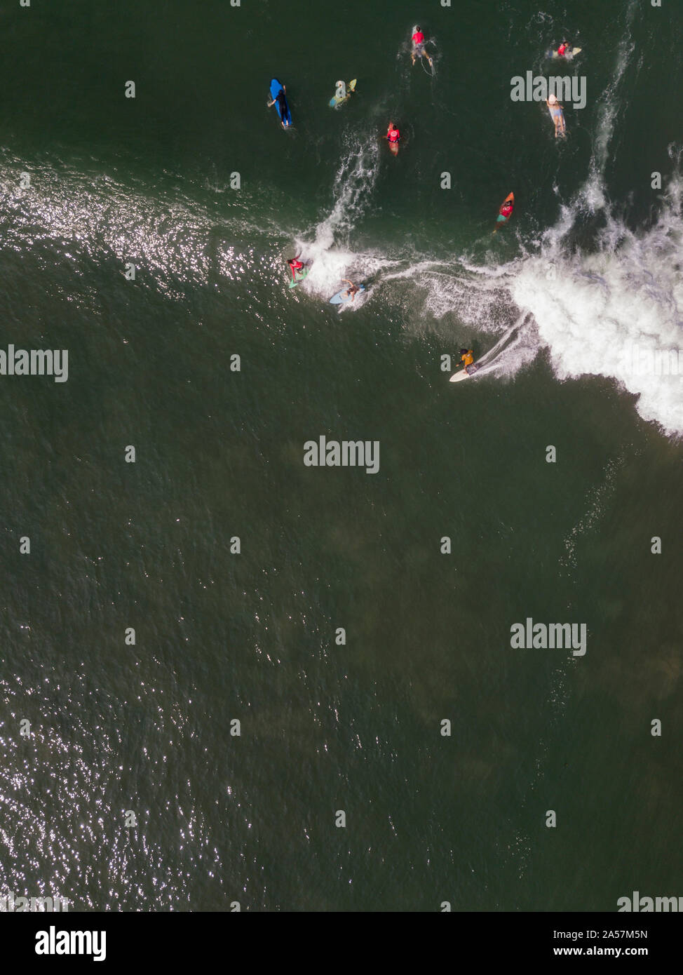 Aerial view of surfers Stock Photo - Alamy