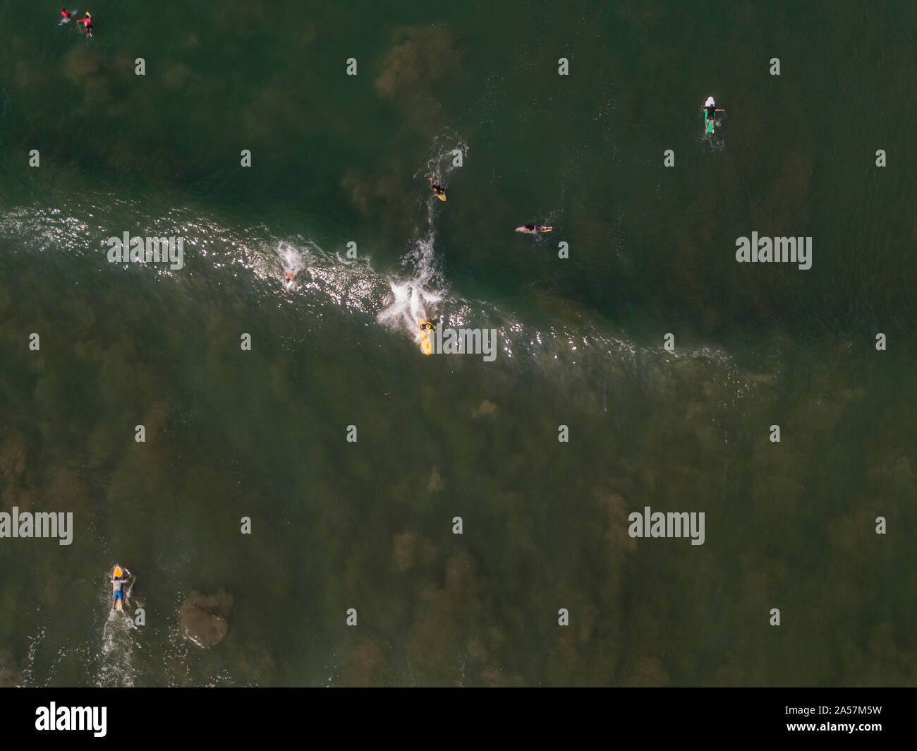Aerial view of surfers Stock Photo - Alamy
