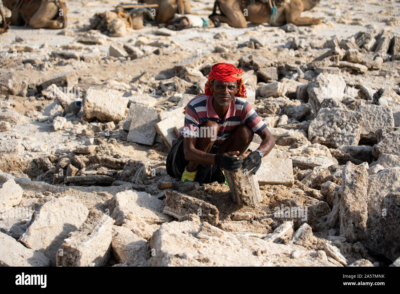 Afar culture hi-res stock photography and images - Alamy