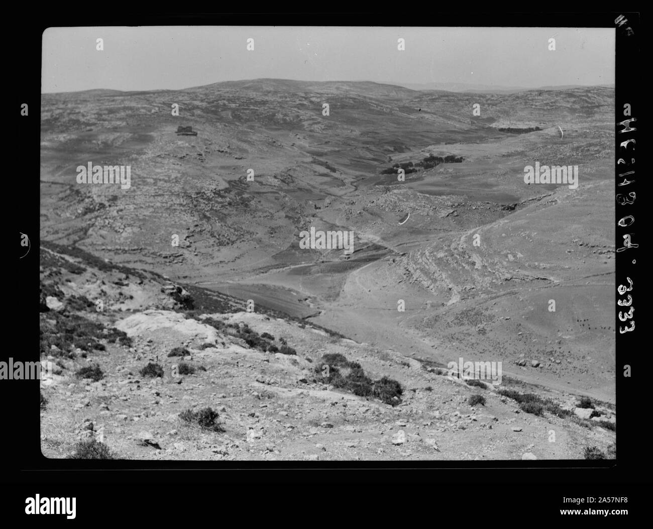 Sihon king of the amorites hi-res stock photography and images - Alamy