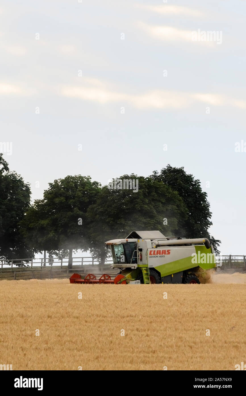 View of cereal crop wheat crop arable uk grain farming hi-res stock ...
