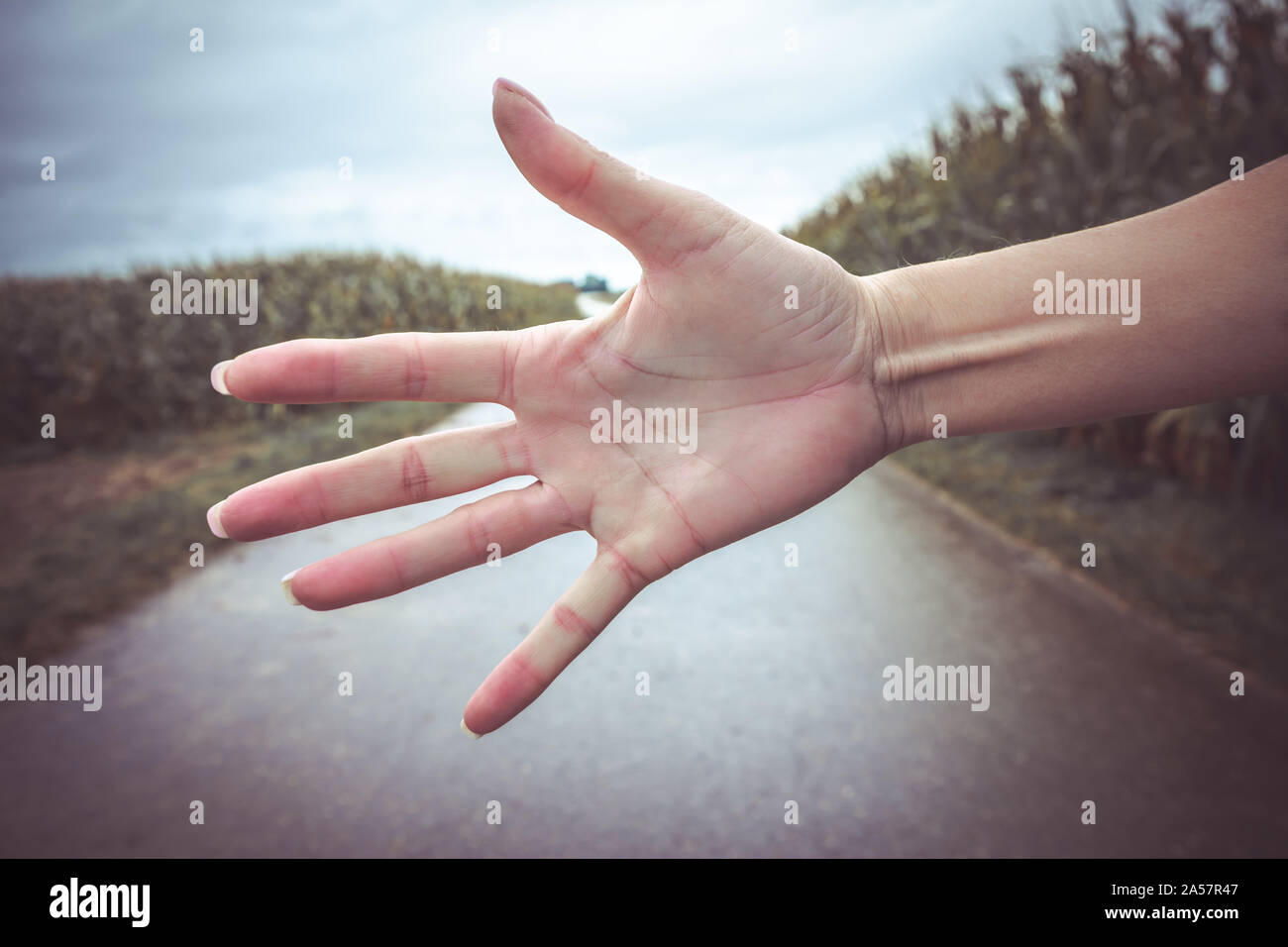 Stop hand gesture female hand hi-res stock photography and images - Alamy