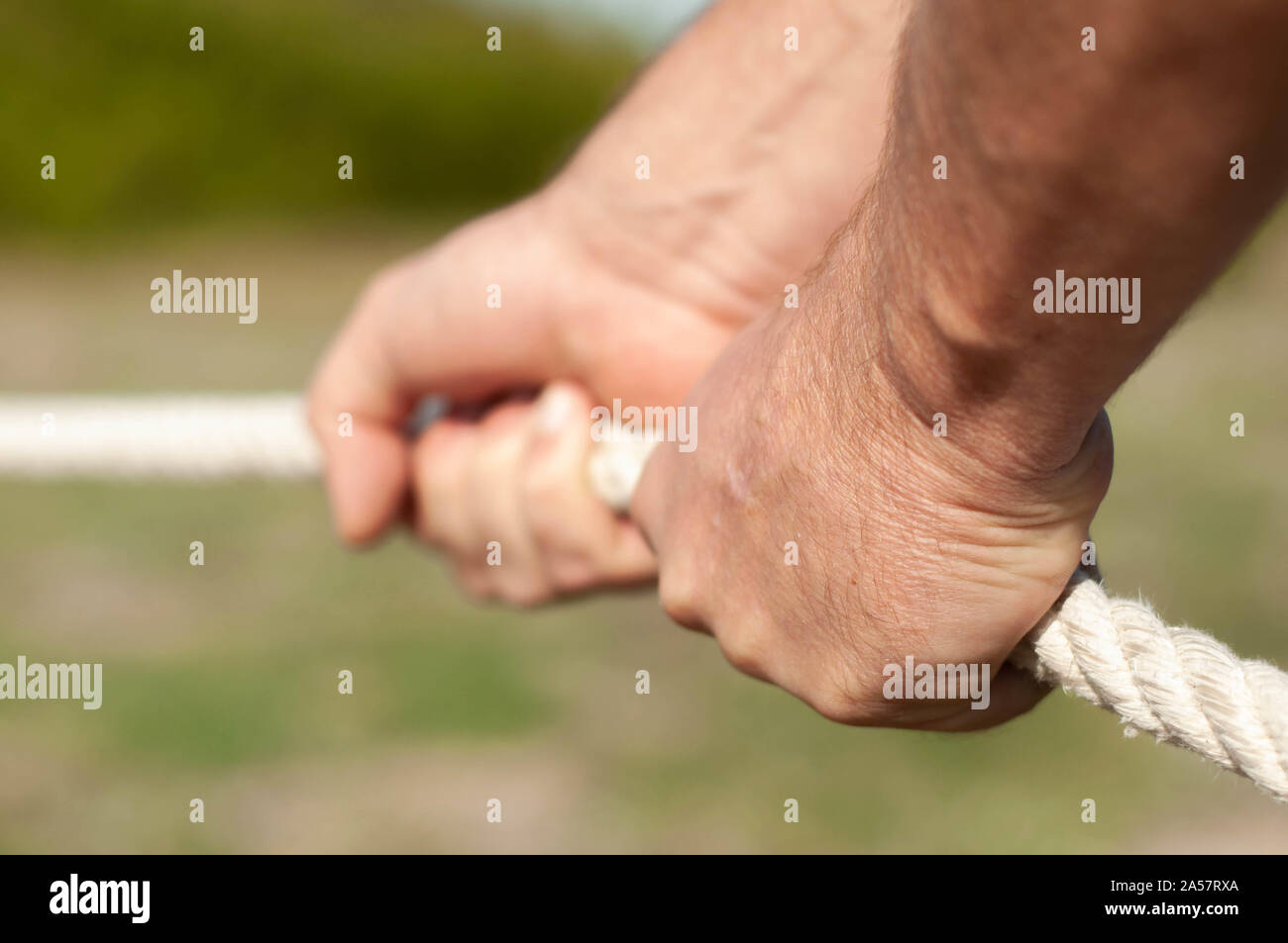 strong male hands firmly hold or pull the rope outdoor Stock Photo - Alamy