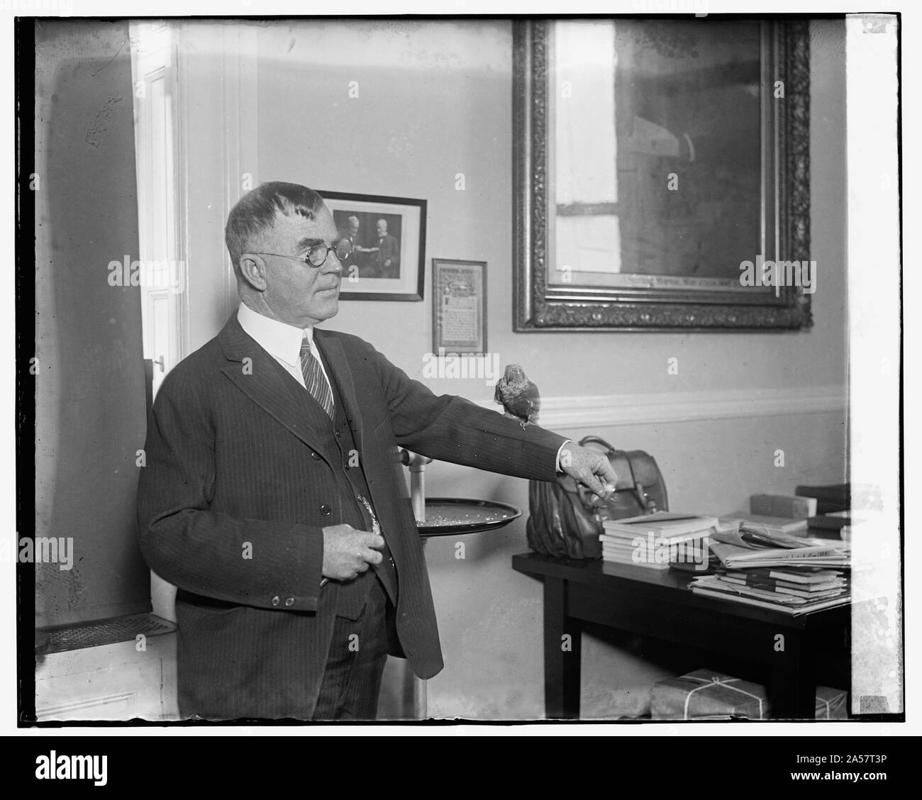 Wallace bird watching hi-res stock photography and images - Alamy