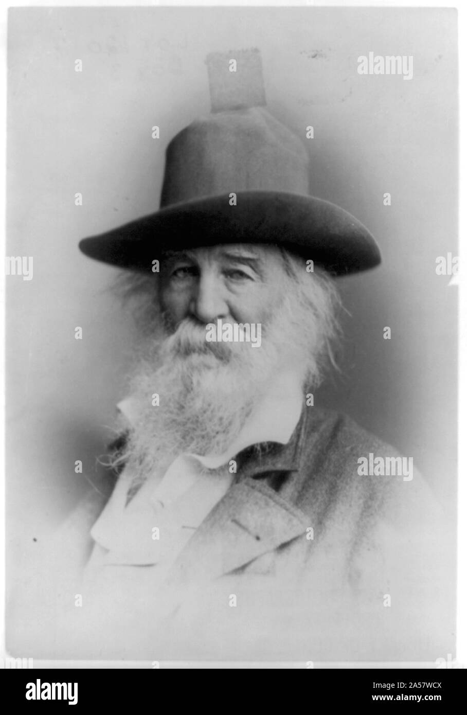 Walt Whitman, head-and-shoulders portrait, facing left, wearing hat ...
