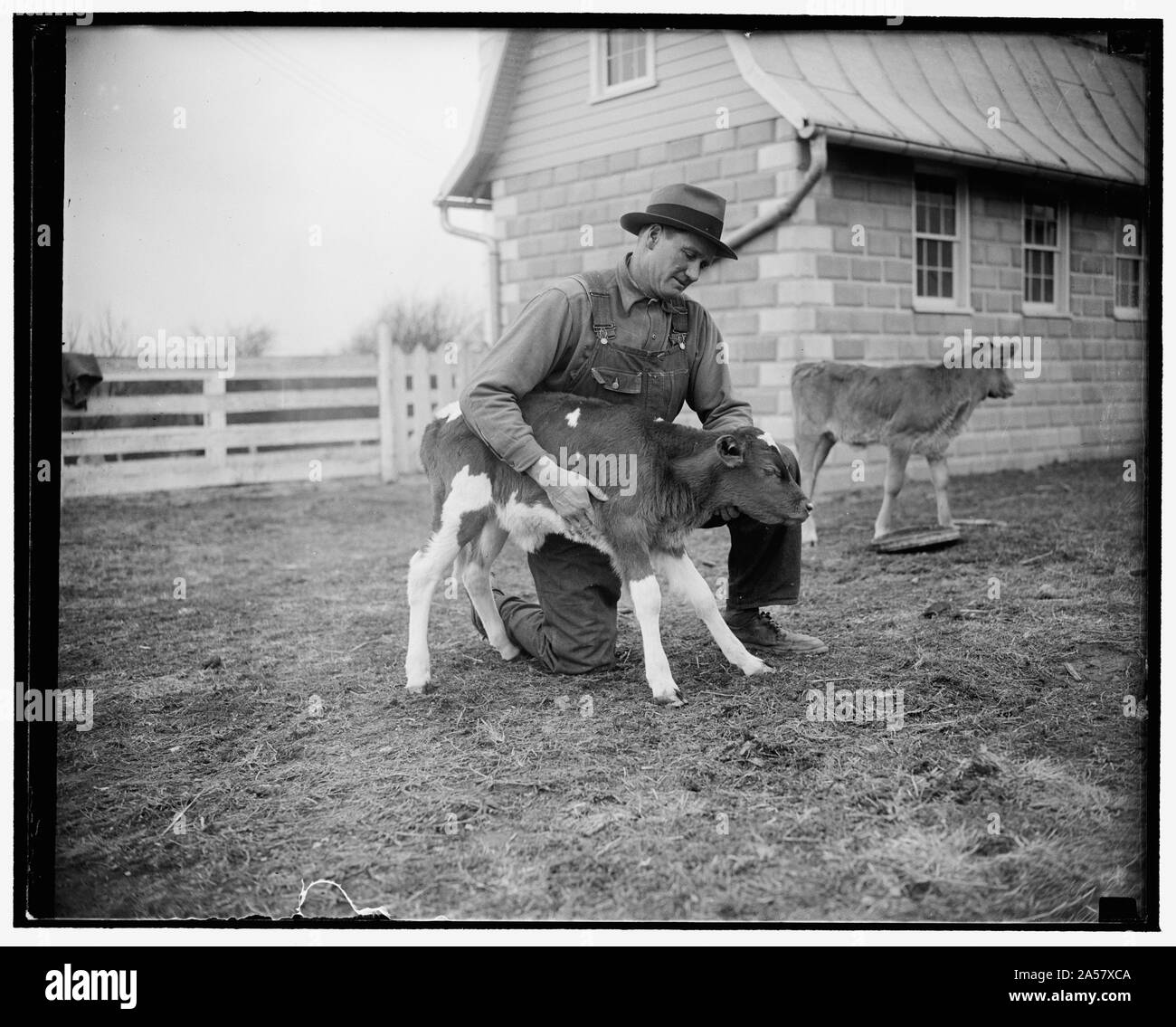 Walter johnson hi-res stock photography and images - Alamy