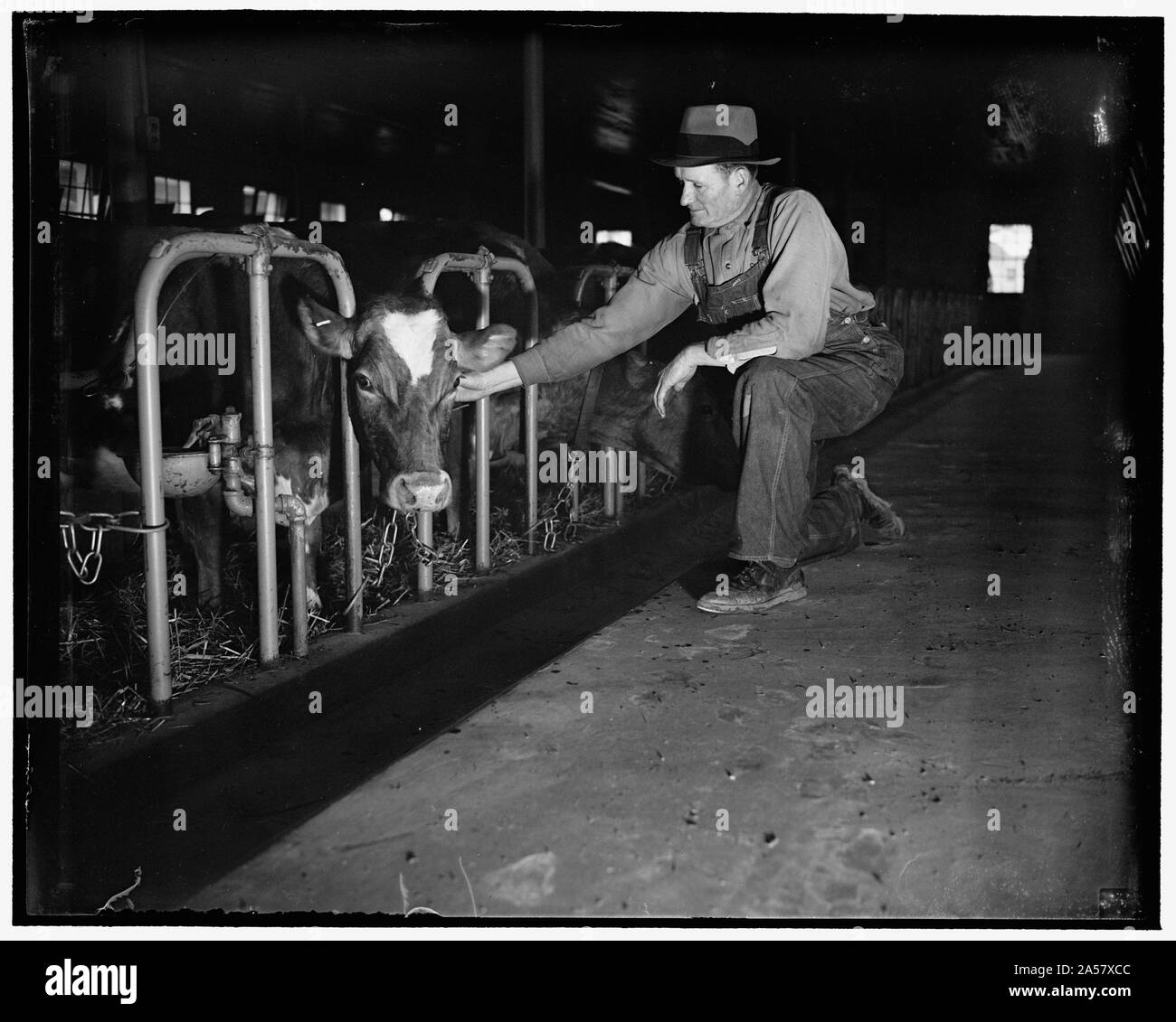 Walter johnson hi-res stock photography and images - Alamy