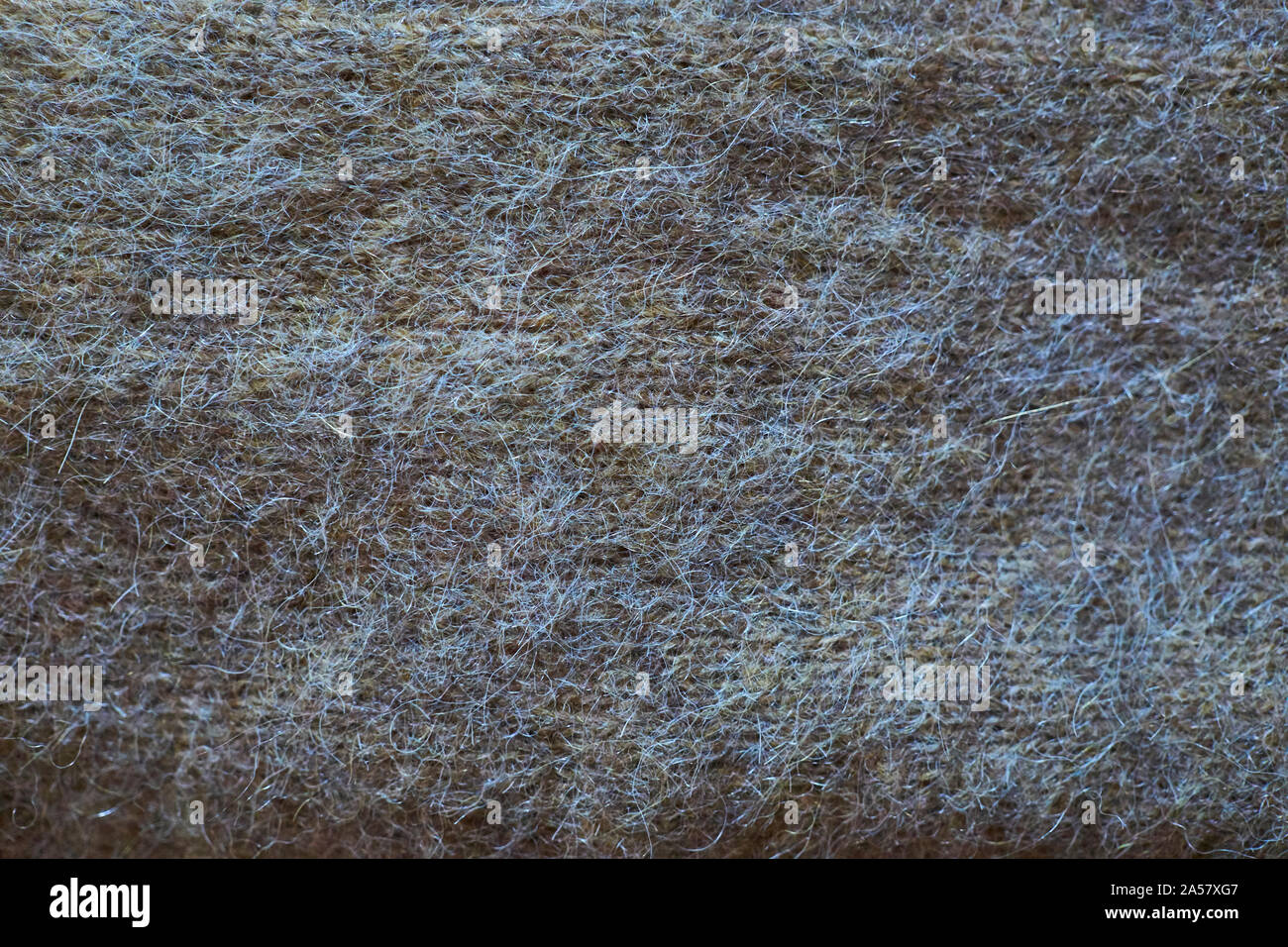 Grey blanket hi-res stock photography and images - Alamy