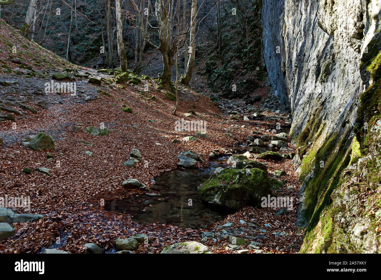 Autumn walk through the maze of Teteven Balkan with high peaks and ...
