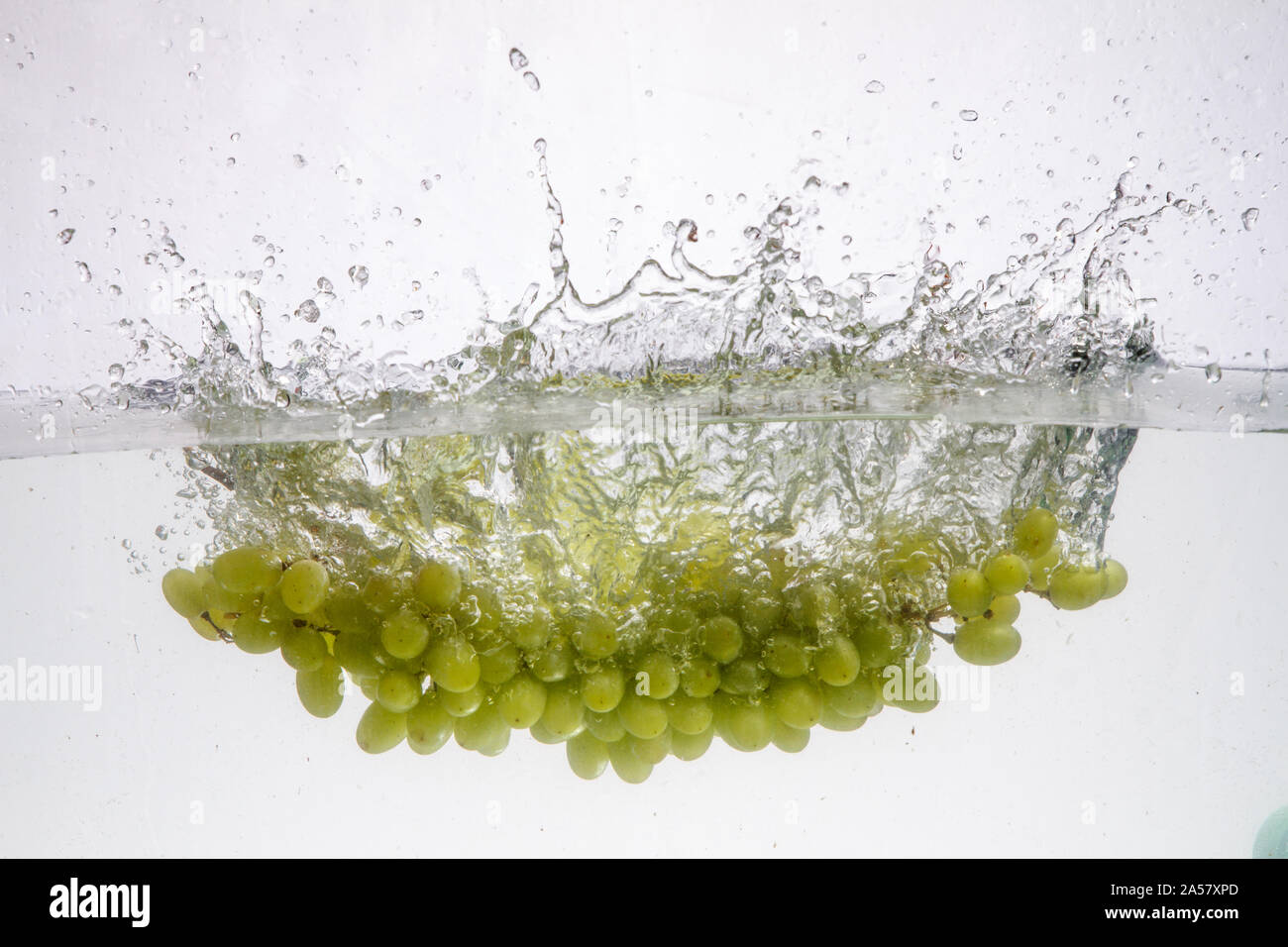 grape in water Stock Photo - Alamy