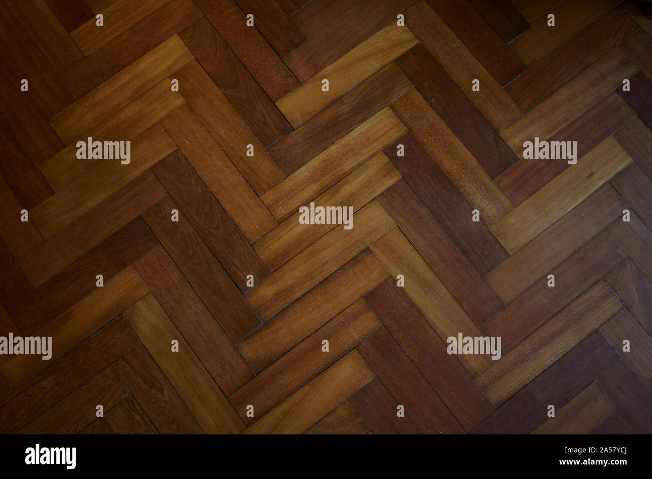 Fishbone texture hi-res stock photography and images - Alamy