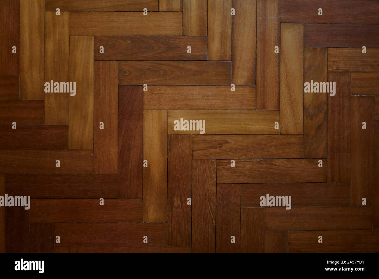 Fishbone texture hi-res stock photography and images - Alamy