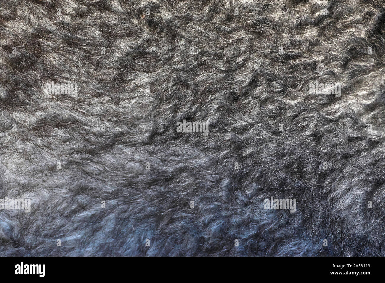 Close up surface texture of a chair covered in colorful iclendic wool ...