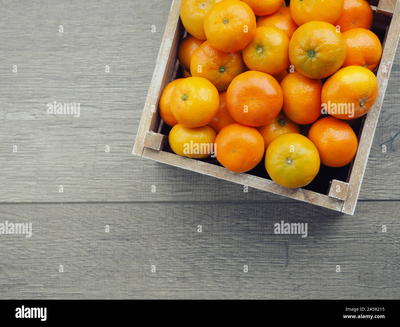 Citrus growing container hi-res stock photography and images - Alamy