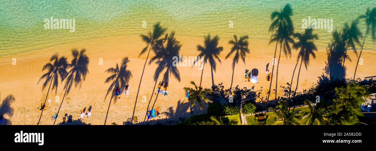 Aerial view of shadows of palm trees on tropical Lanikai Beach, Kailua ...