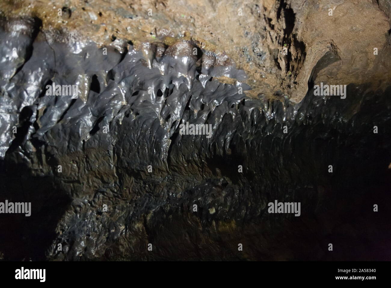 The wall of the lava cave is covered with a fungal coating. The view ...