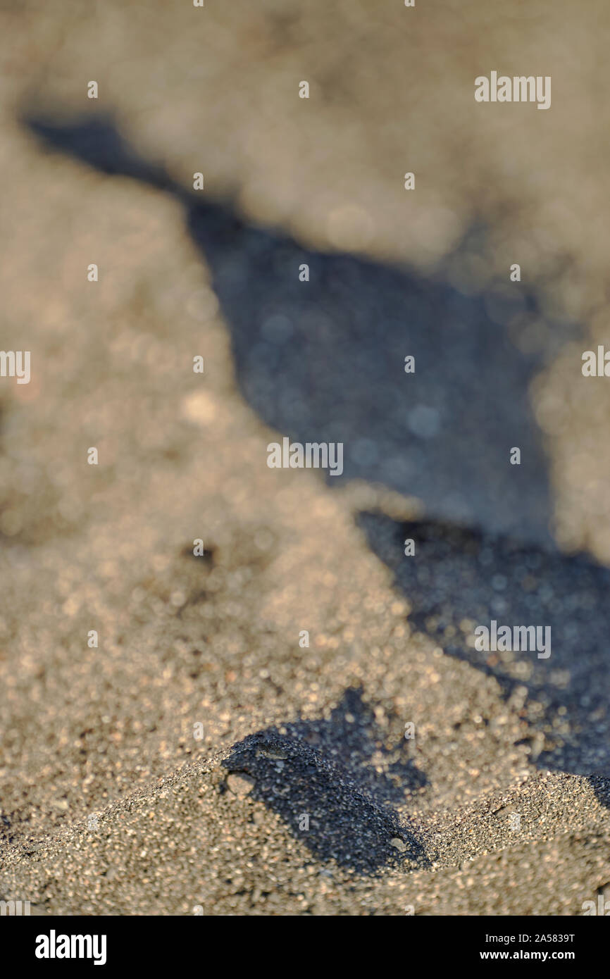 Background image, close up of a sandy bank by Reykjavík shore Stock ...