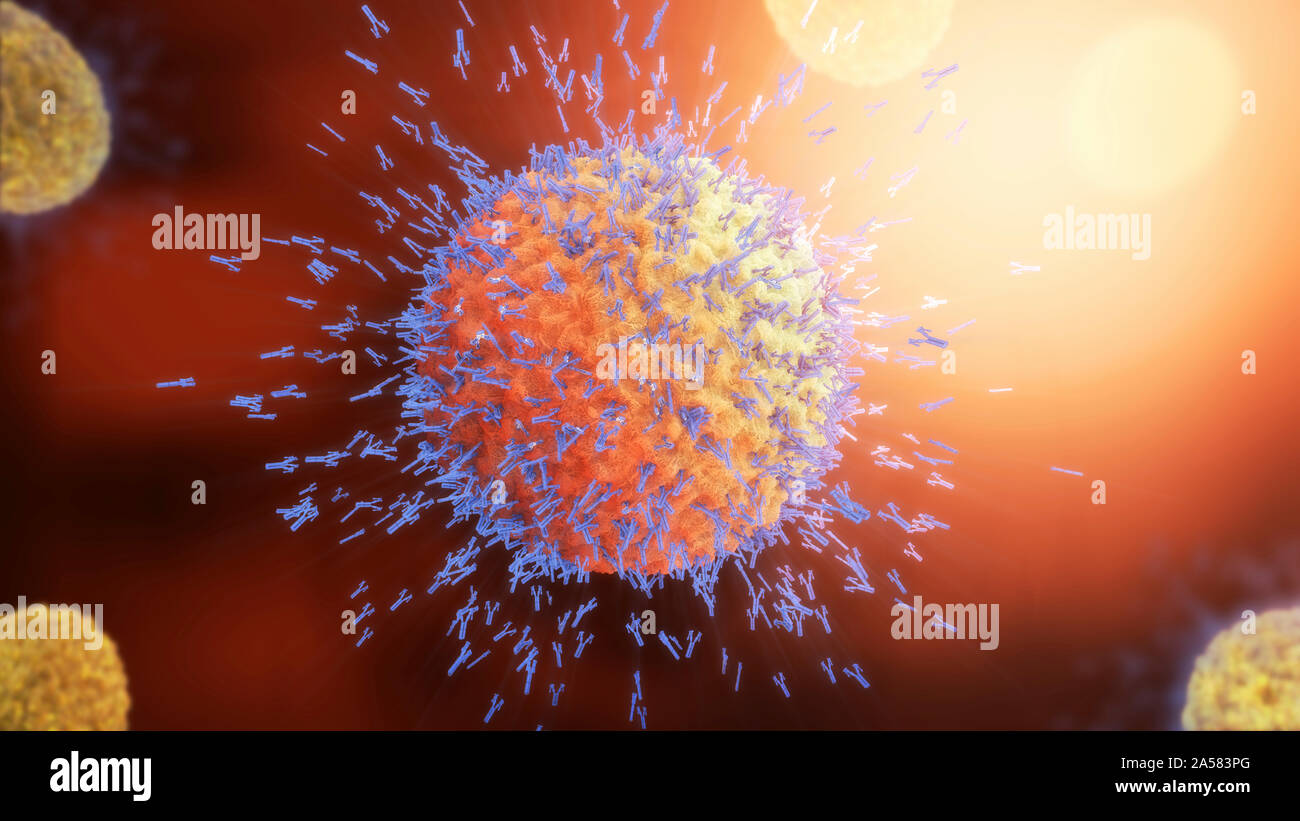 Antibodies attacking virus particles, illustration Stock Photo - Alamy