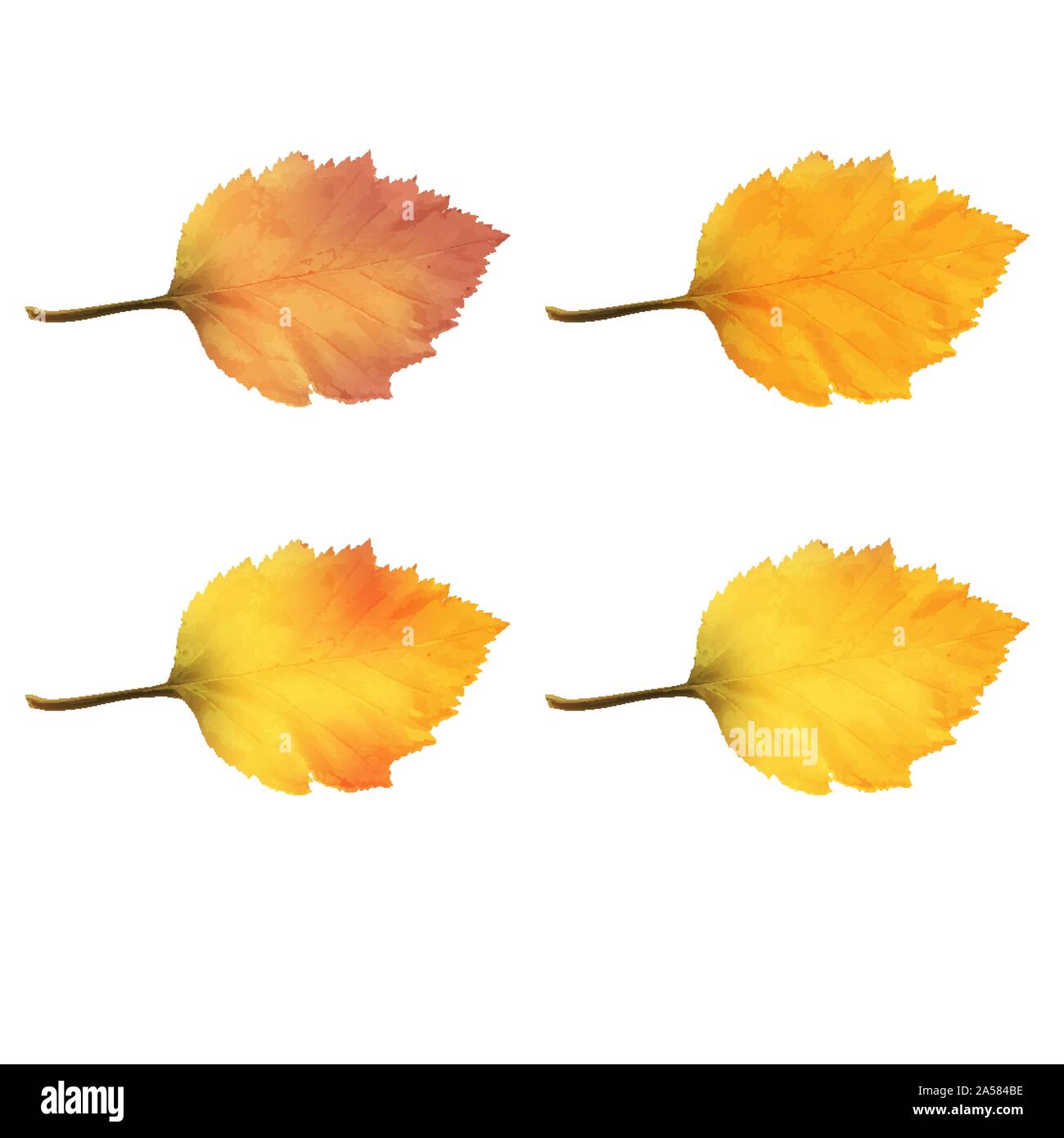 Tree leaves cutout Stock Vector Images - Alamy